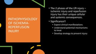 Ischemia reperfusion | PPT