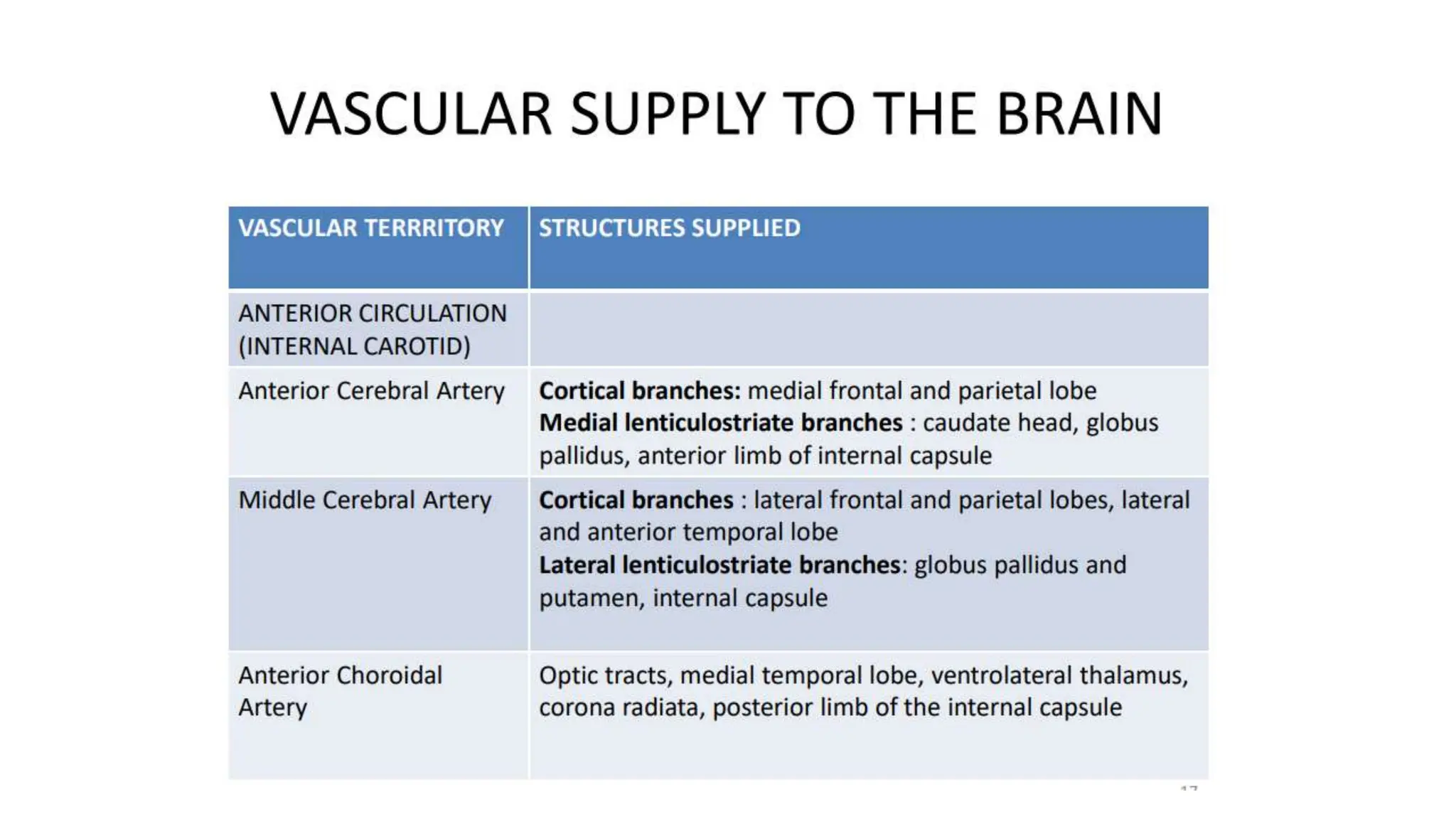 Ischaemic stroke pathogenesis and treatment | PPTX | Brain and Nervous ...