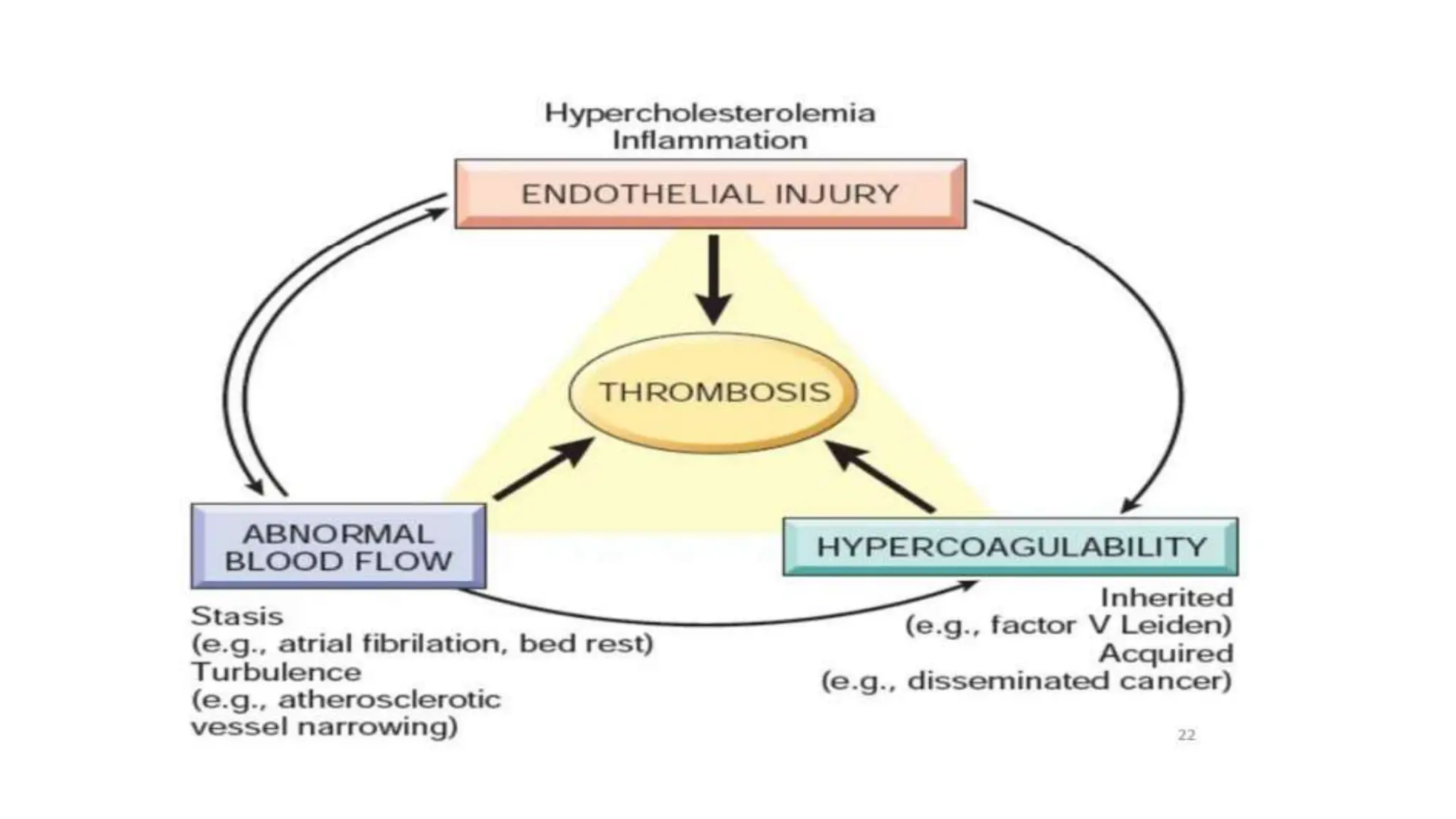 Ischaemic stroke pathogenesis and treatment | PPTX | Brain and Nervous ...