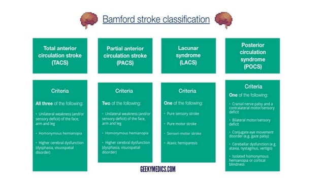 Ischaemic stroke pathogenesis and treatment | PPTX | Brain and Nervous System Disorders ...