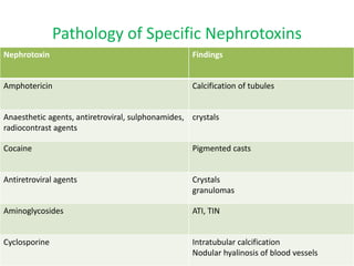 Ischemic and toxic renal injury and renal disease in pregnancy | PPTX