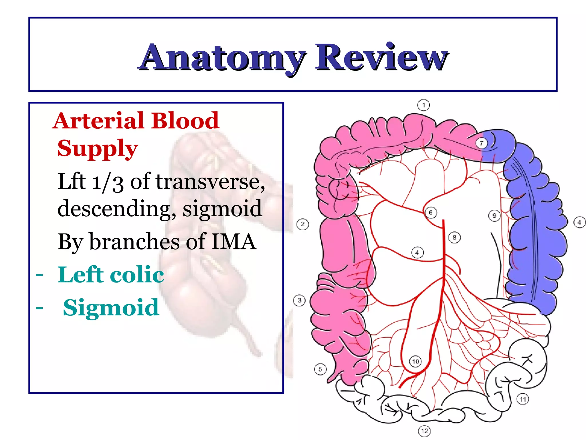 Ischemic Colitis | PPT