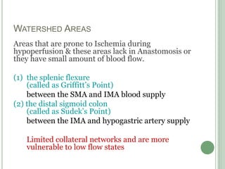 Splenic Flexure Watershed