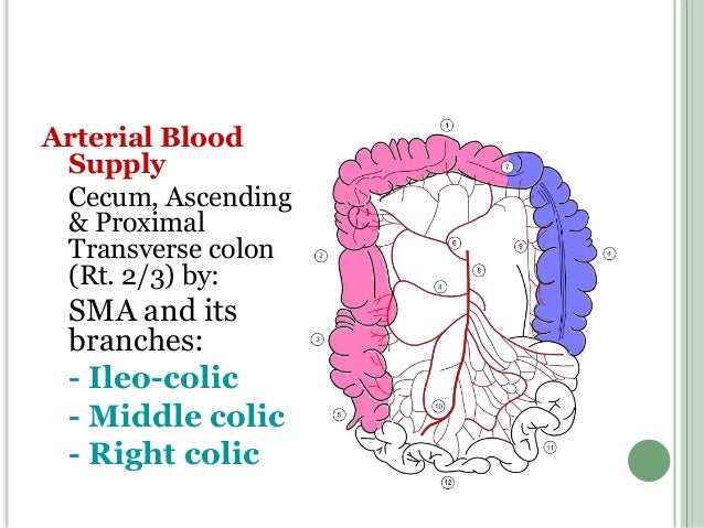 Ischemic Colitis