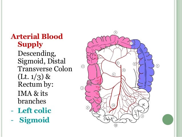 Ischemic Colitis
