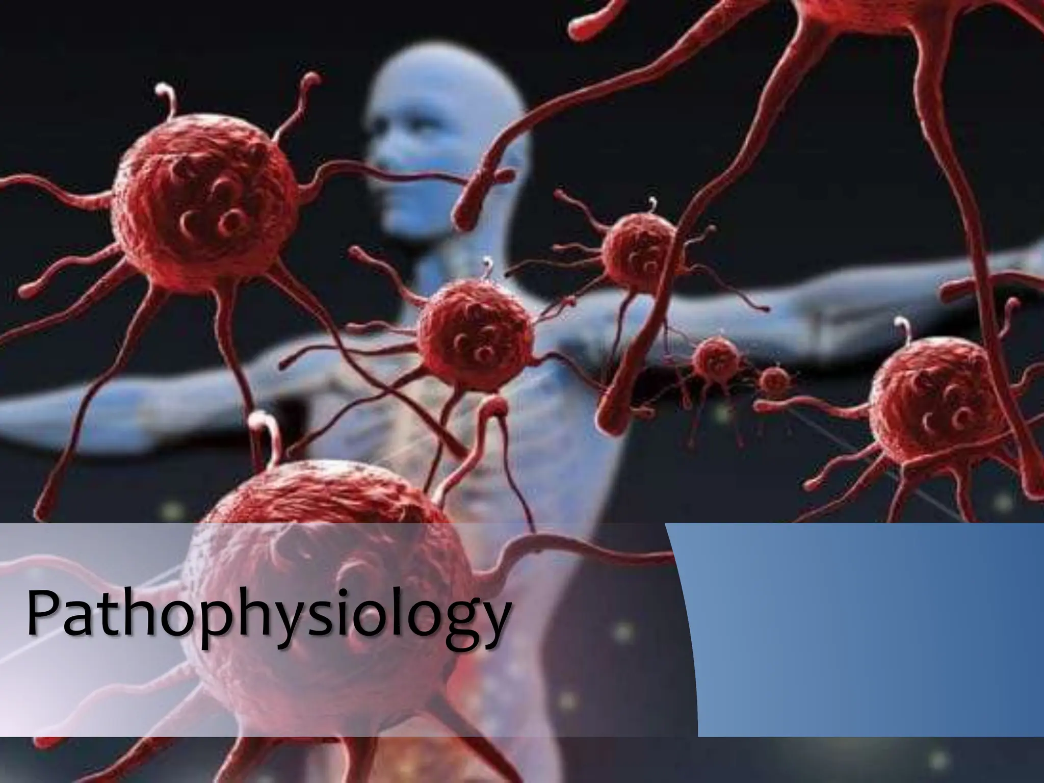 Ischemic heart disease (IHD) pathophysiology , types , its causes and ...