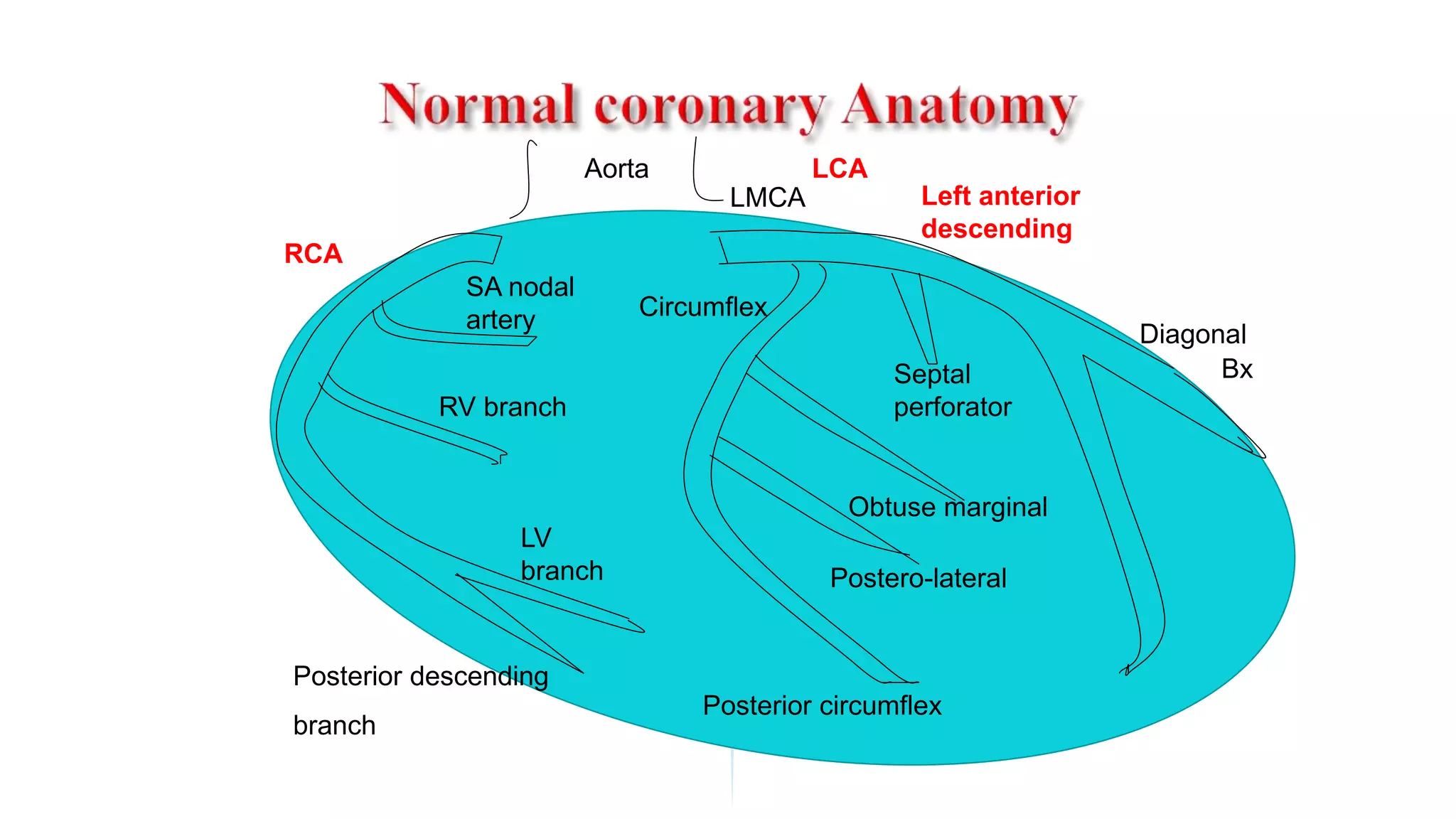 ISCHEMIC HEART DISEASE (IHD) | PPTX