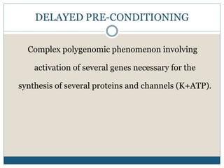 Ischemic preconditioning | PPT