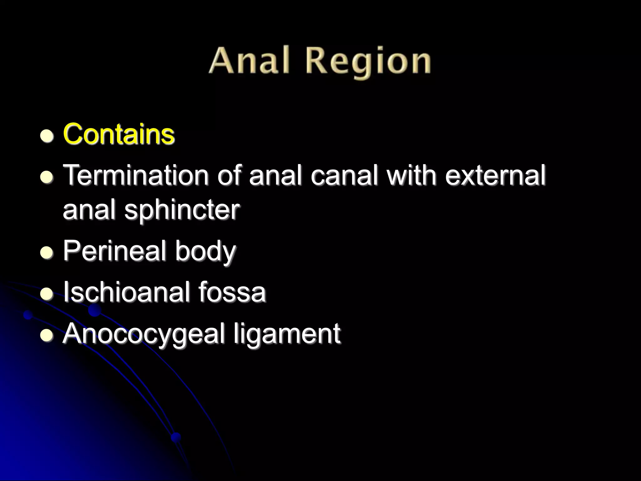 Ischiorectal-fossa.ppt