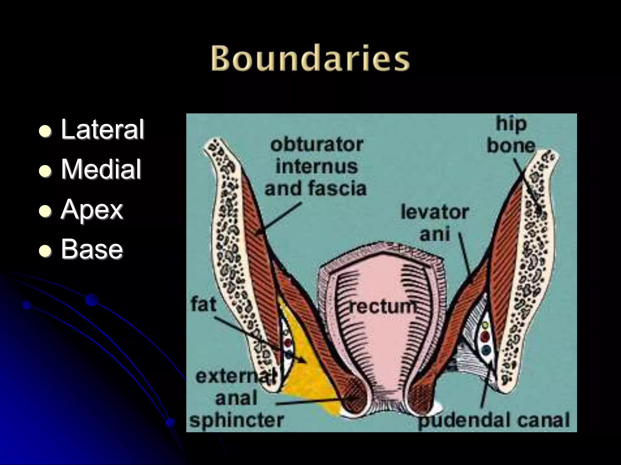 Ischiorectal-fossa.ppt