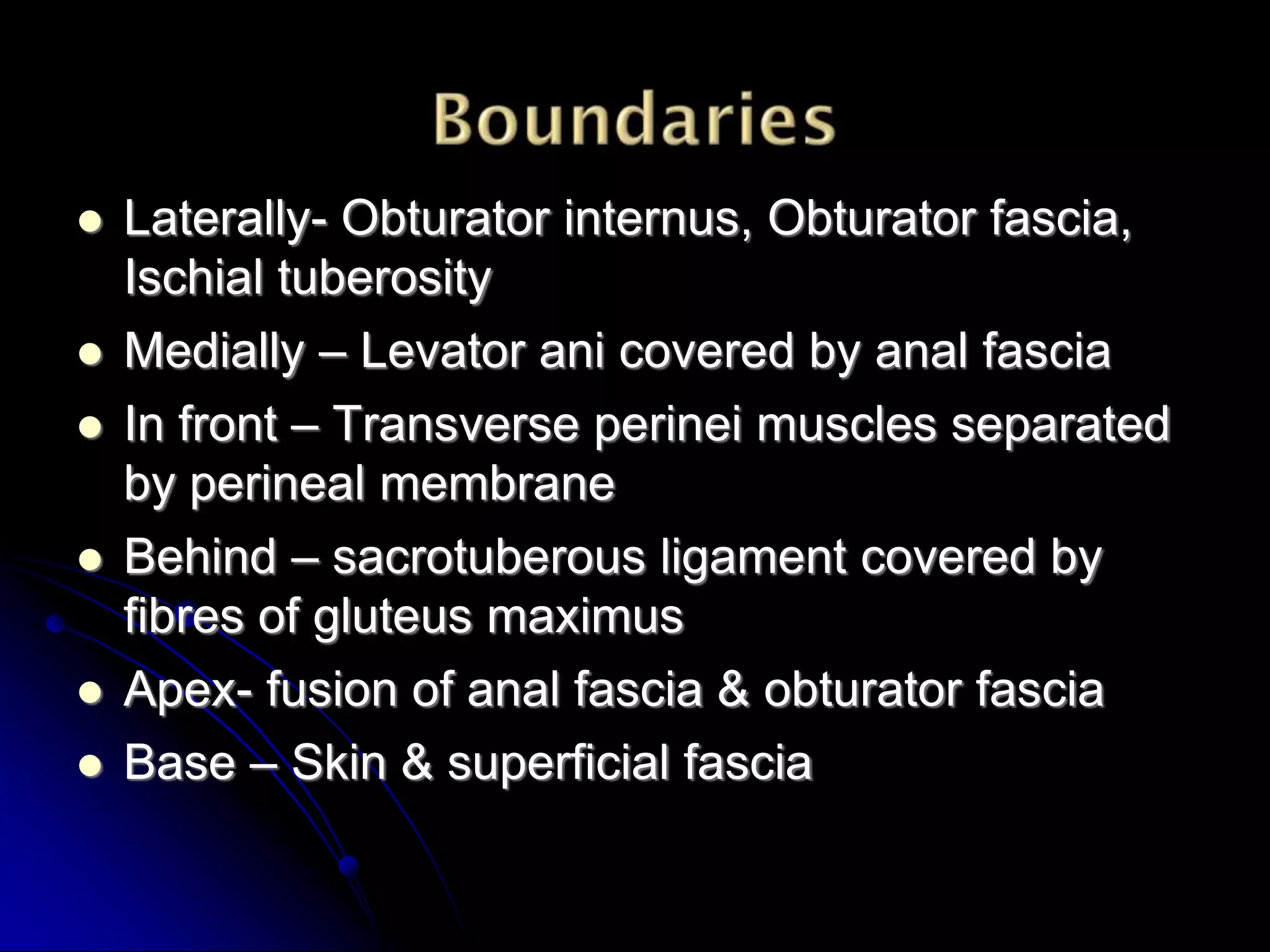 Ischiorectal-fossa.ppt