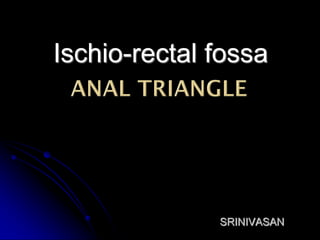 Ischiorectal-fossa.ppt