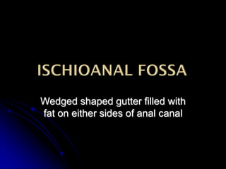 Ischiorectal-fossa.ppt