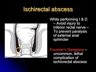 Ischiorectal-fossa.ppt