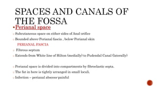 Ischiorectal fossa | PPTX