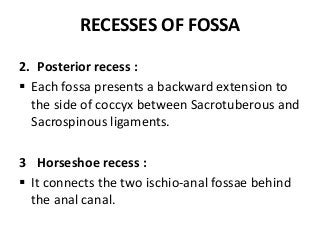 Ischiorectal fossa.pptx
