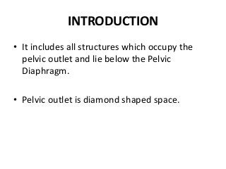 Ischiorectal fossa.pptx