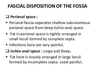 Ischiorectal fossa.pptx