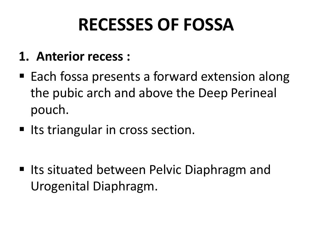 Ischiorectal fossa.pptx