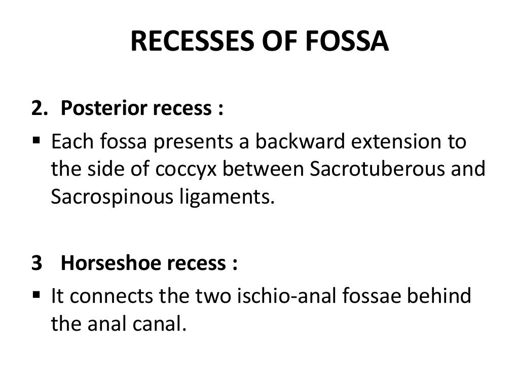 Ischiorectal fossa.pptx