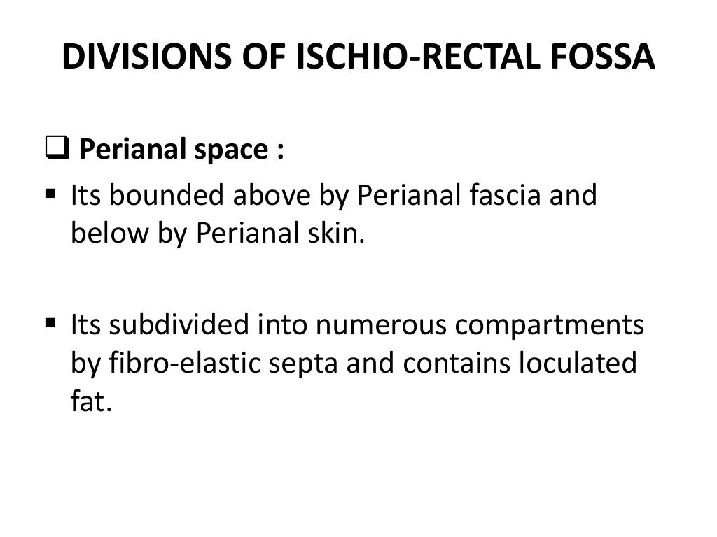 Ischiorectal fossa.pptx