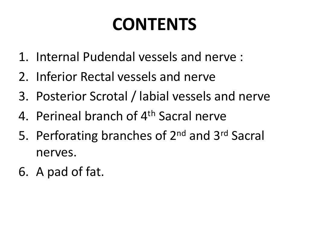 Ischiorectal fossa.pptx