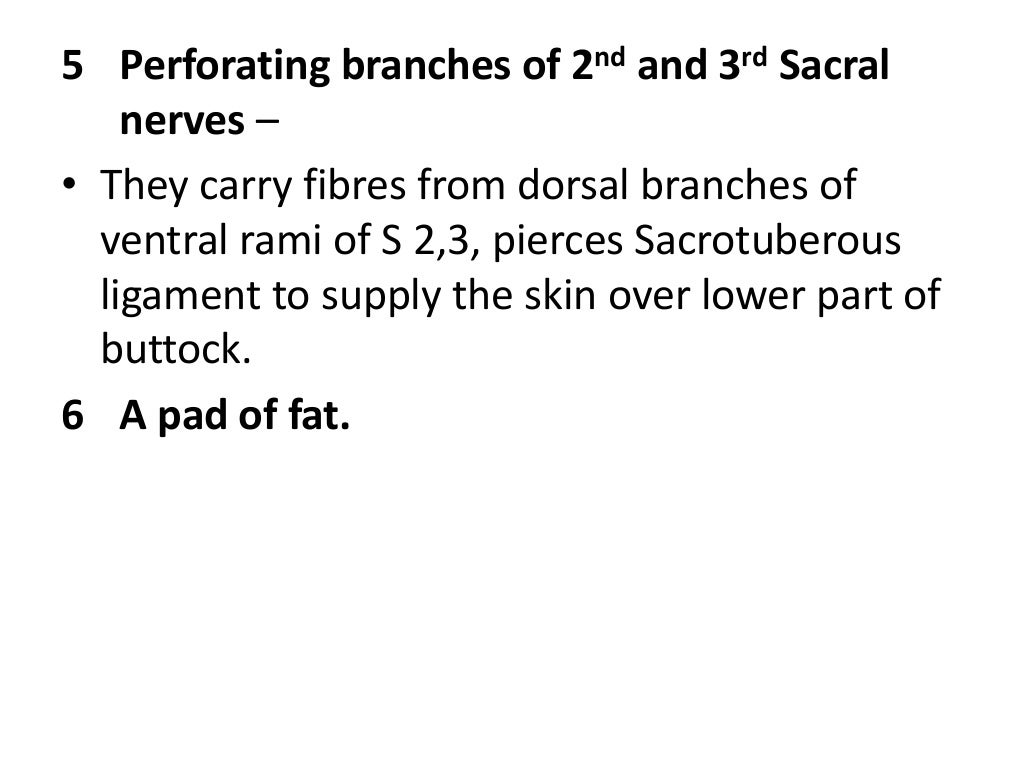 Ischiorectal fossa.pptx