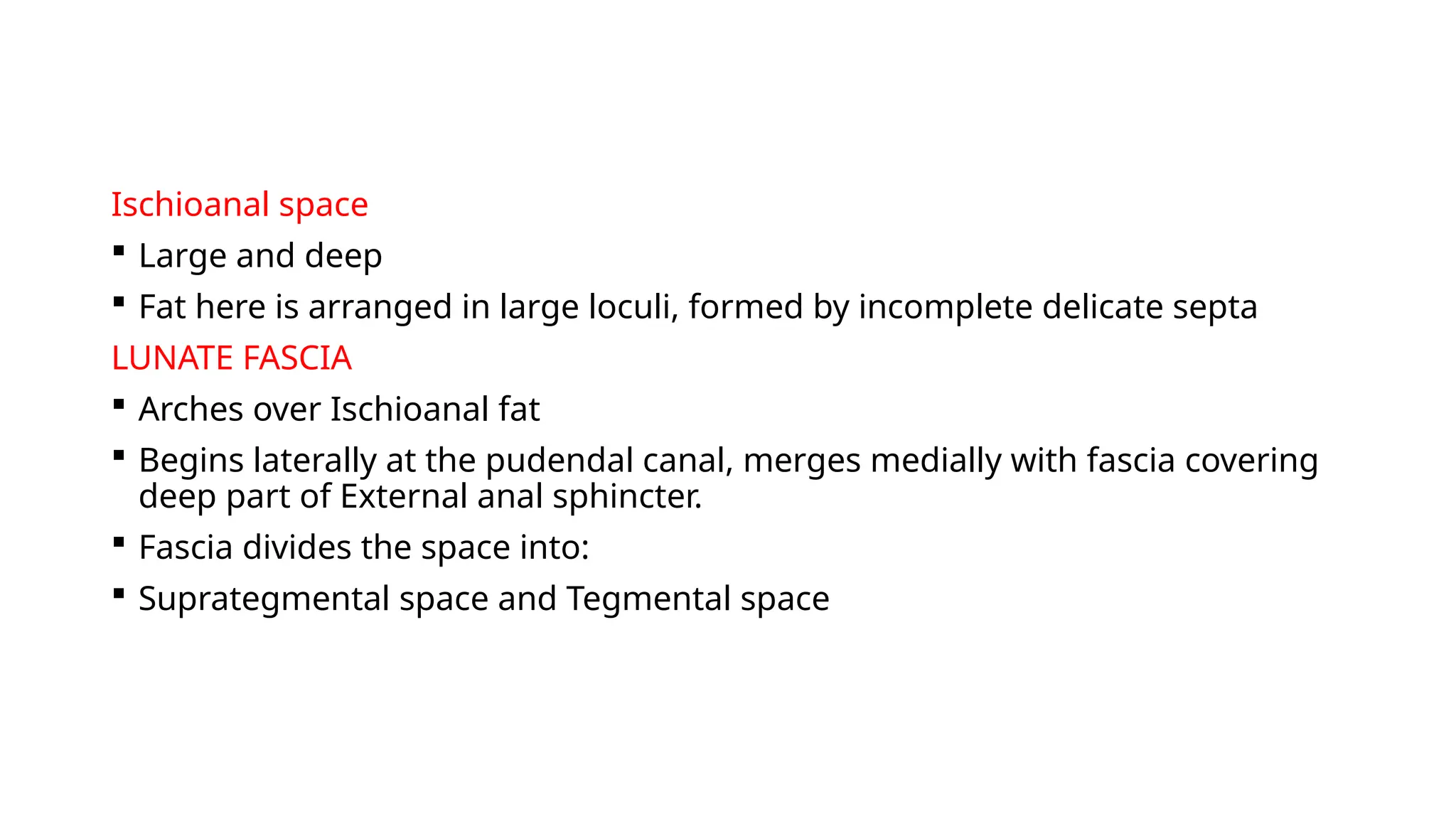 Ischiorectal fossa.pptx1100ysj9866755432 | PPTX