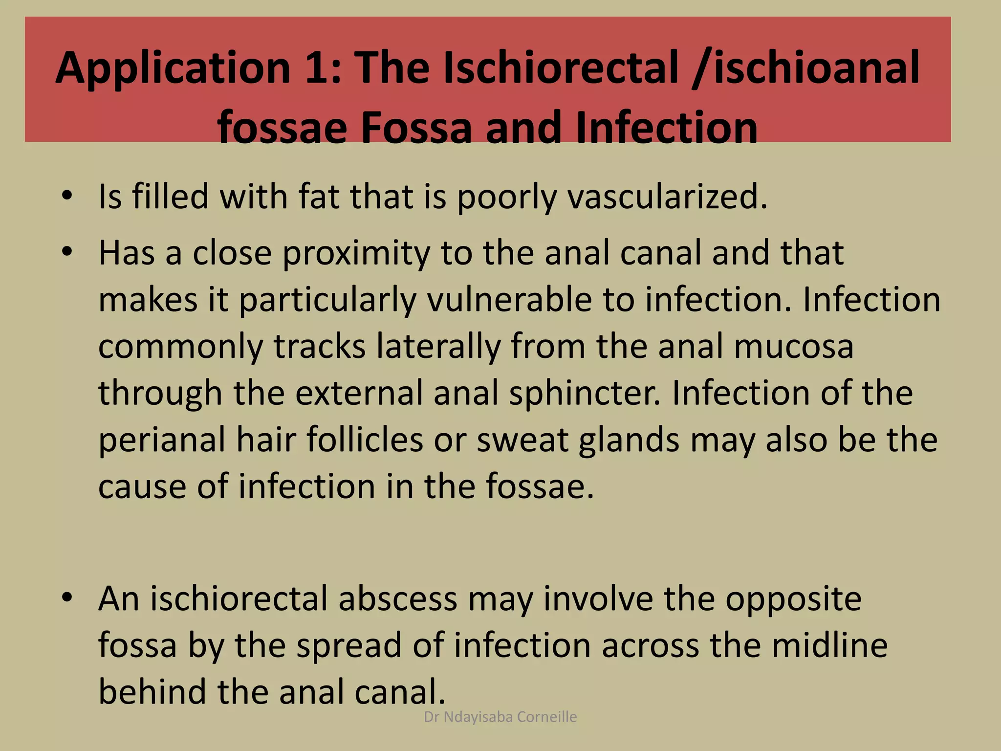 Ischiorectal_Fossa & Inguinal canal.pptx