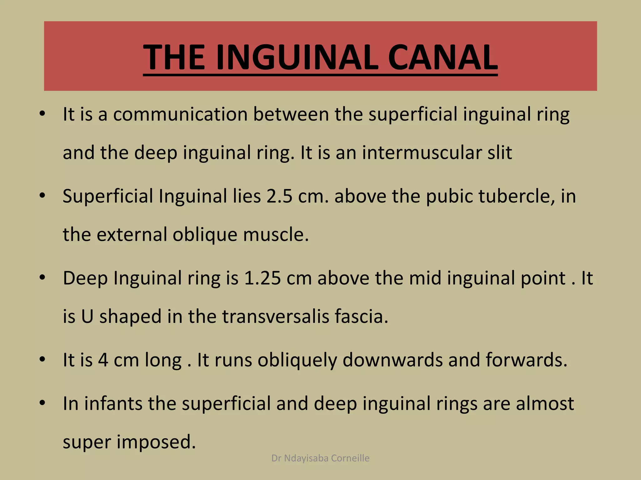 Ischiorectal_Fossa & Inguinal canal.pptx