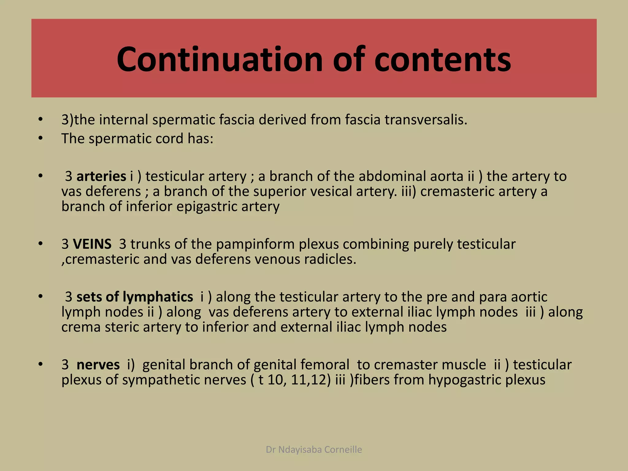 Ischiorectal_Fossa & Inguinal canal.pptx