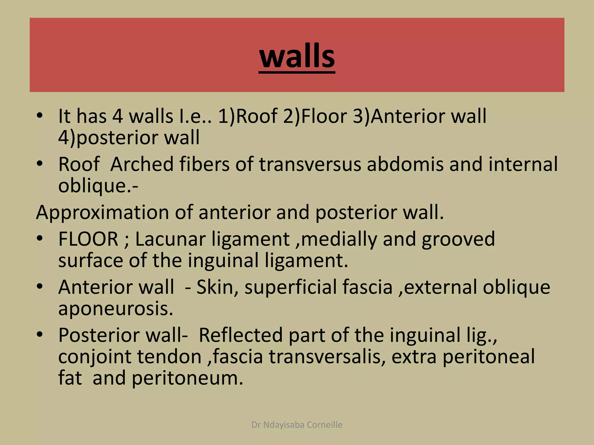 Ischiorectal_Fossa & Inguinal canal.pptx