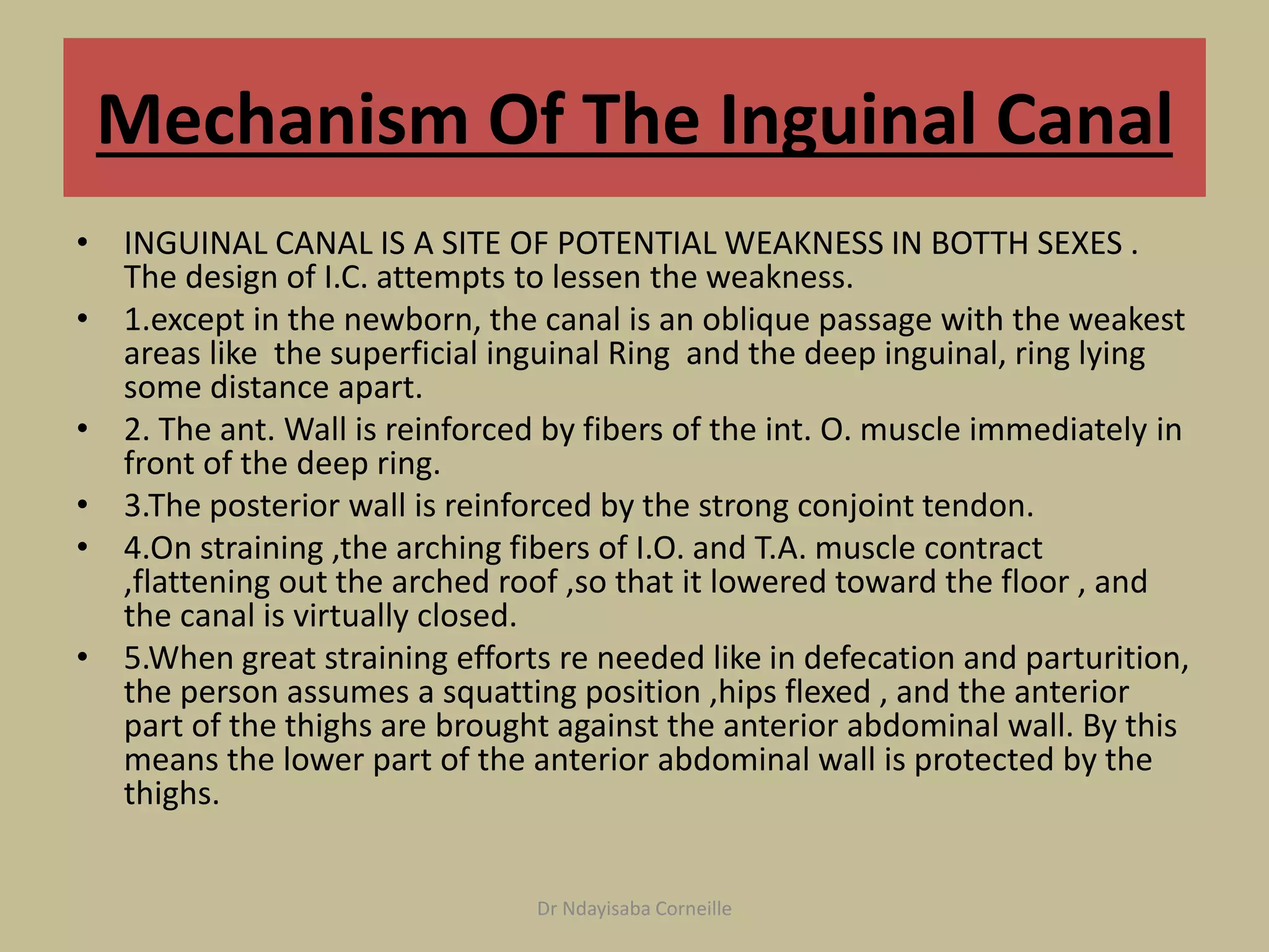 Ischiorectal_Fossa & Inguinal canal.pptx