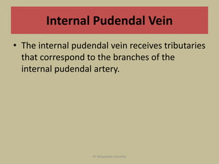 Ischiorectal_Fossa & Inguinal canal.pptx