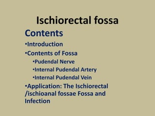 Ischiorectal_Fossa & Inguinal canal.pptx