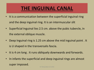 Ischiorectal_Fossa & Inguinal canal.pptx