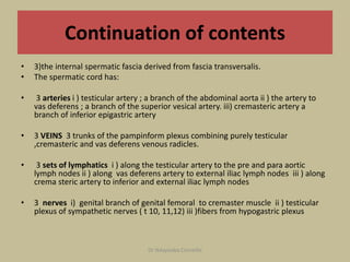 Ischiorectal_Fossa & Inguinal canal.pptx