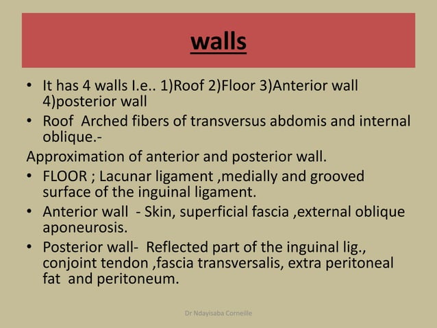 Ischiorectal_Fossa & Inguinal canal.pptx | Pregnancy | Reproductive Health
