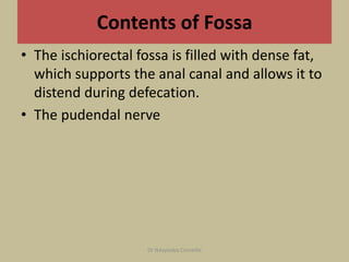 Ischiorectal_Fossa & Inguinal canal.pptx