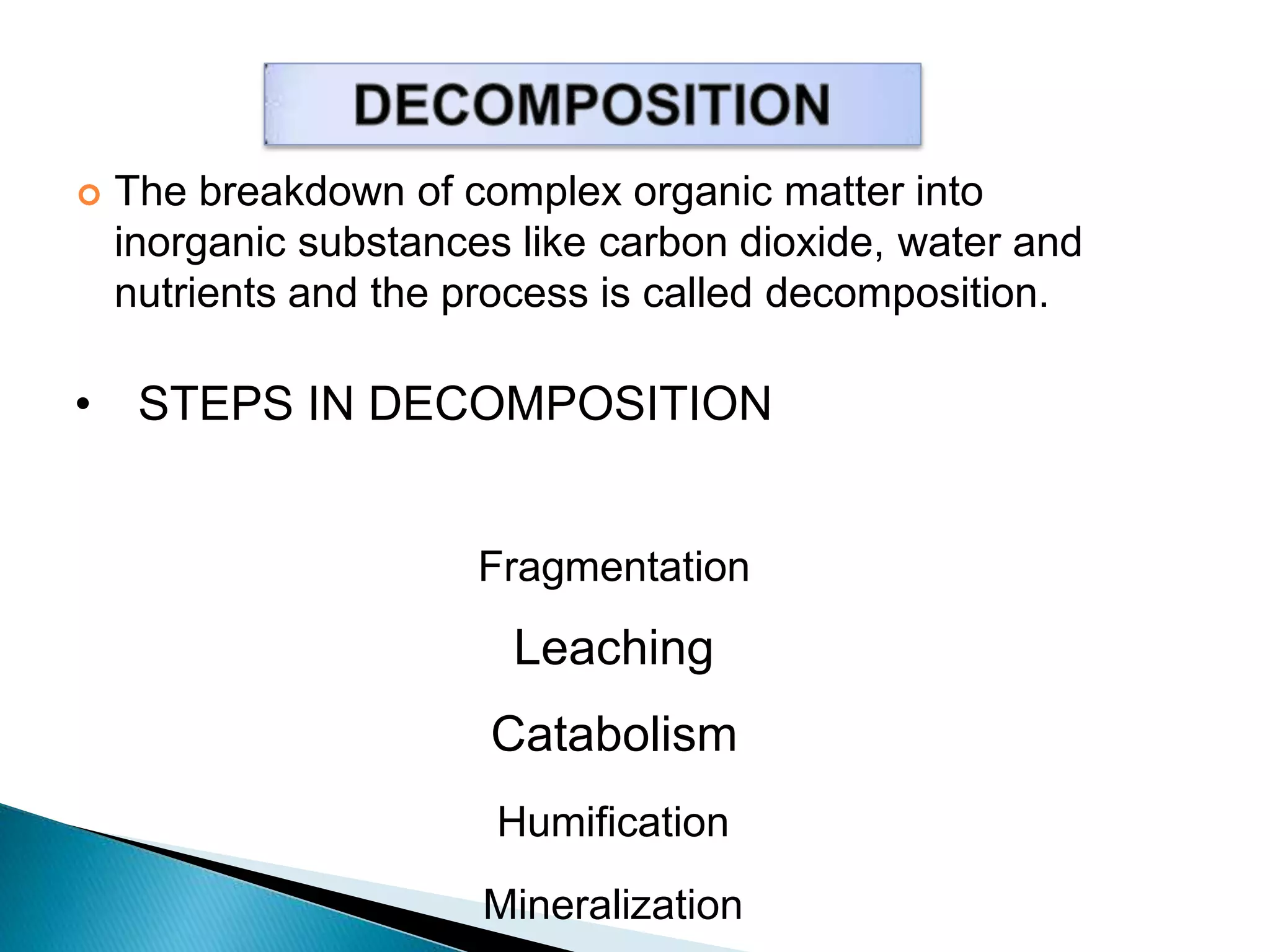 concept of ecosystem | PPTX
