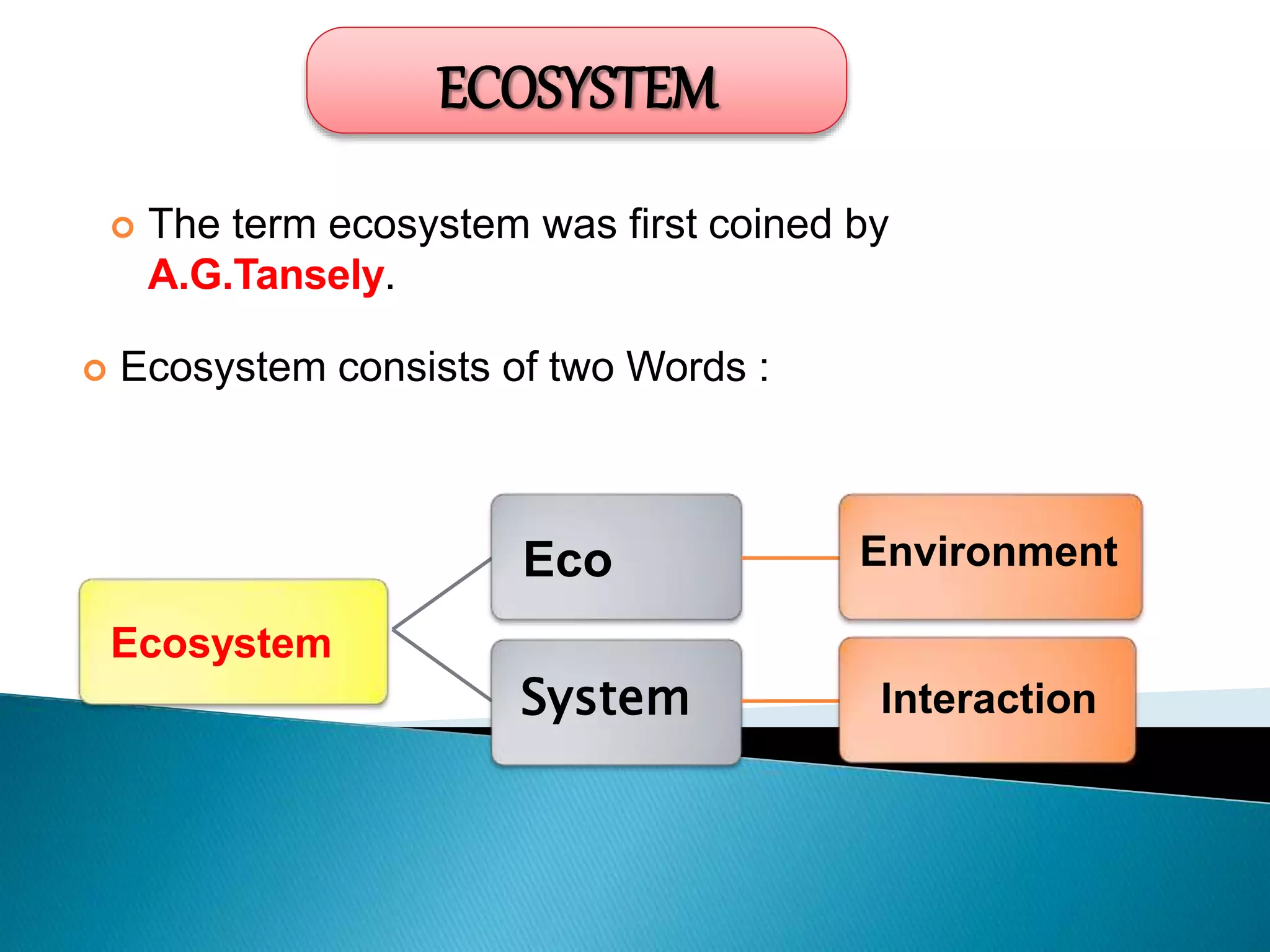 concept of ecosystem | PPTX