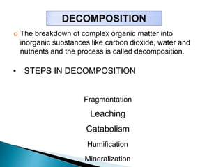 concept of ecosystem | PPTX