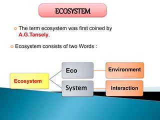 concept of ecosystem | PPTX