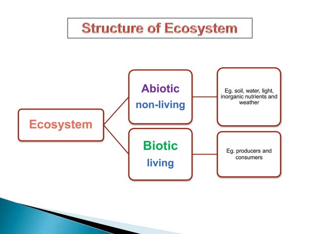 concept of ecosystem | PPTX | Geography | Science