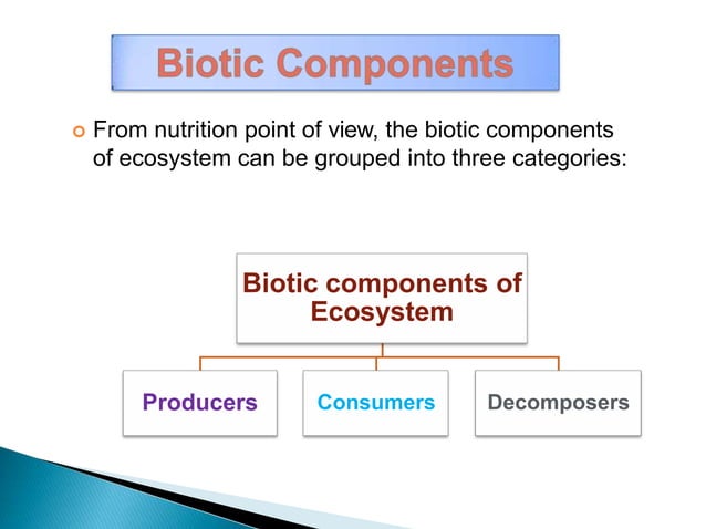 concept of ecosystem | PPTX | Geography | Science