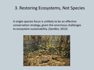 Ethics of De-Extinction | PPTX | Environment | Science