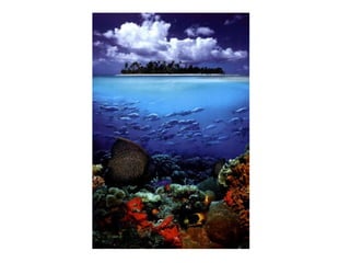 I see i feel i wonder pictures | PPT