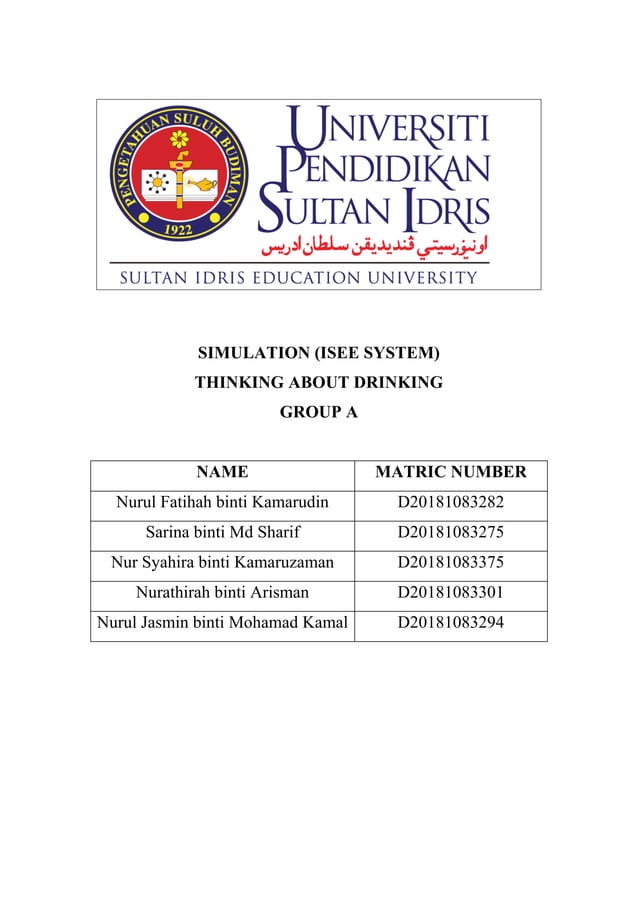 Isee system simulation report | PDF