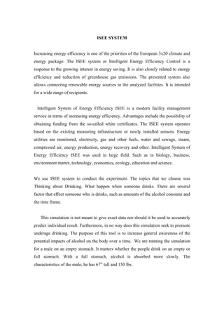 Isee system simulation report | PDF