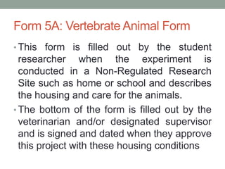 ISEF FORMS - Research for Grade 10 - Powerpoint Presentation | PPTX